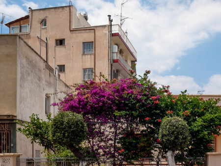 Στους δρόμους της πόλης (1+1) – Πλίνθοι και κέραμοι