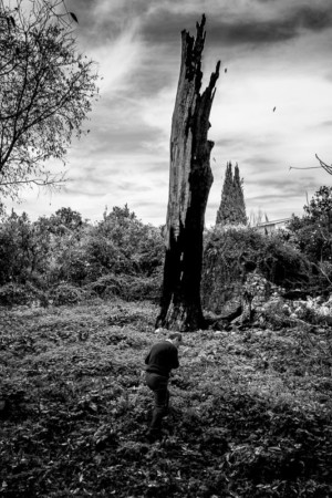 Μόνο λύπη – Πλίνθοι και κέραμοι